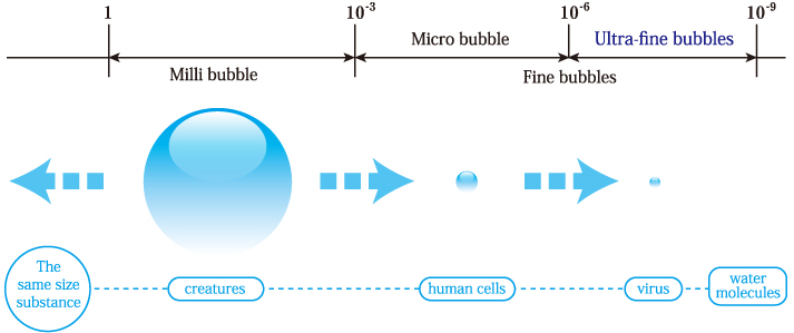 FINEAQUA - Master Clean Solutions
